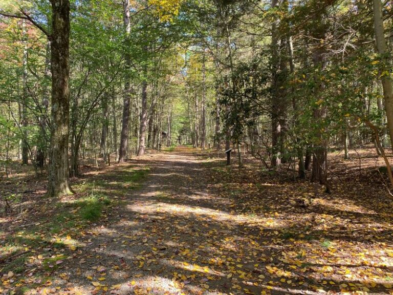 10 Free Things to Do in the Endless Mountains - Endless Mountains ...