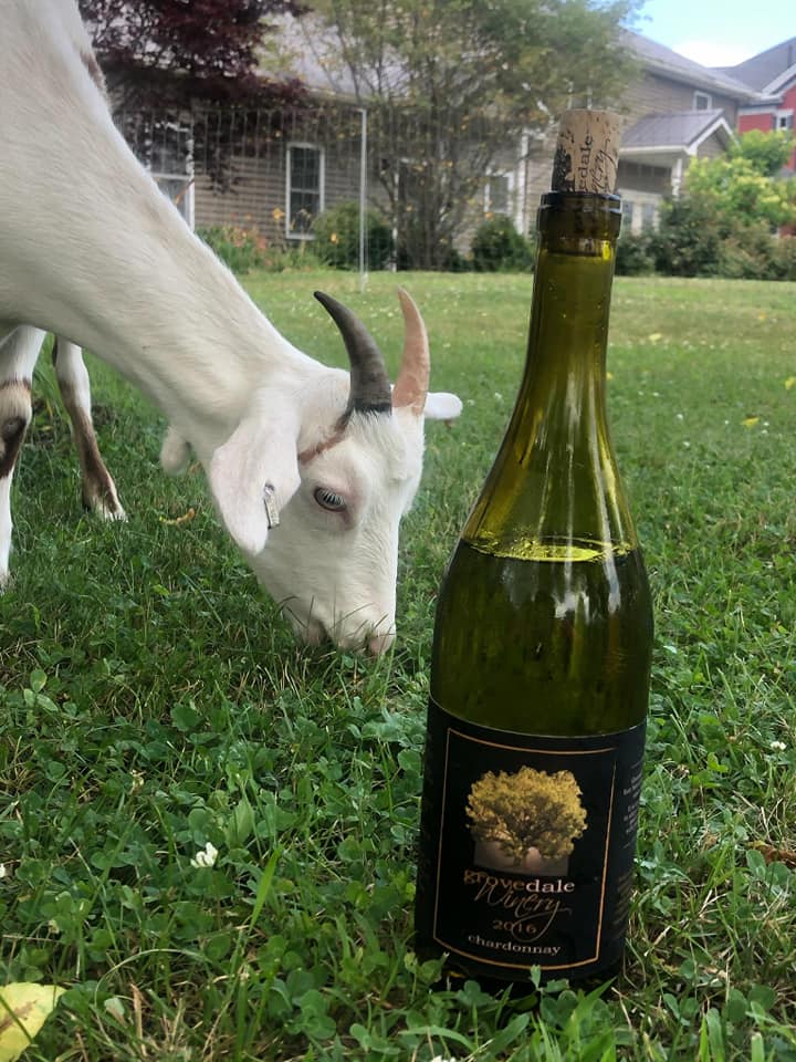 Grovedale Winery & Vineyards - Endless Mountains Visitors Bureau