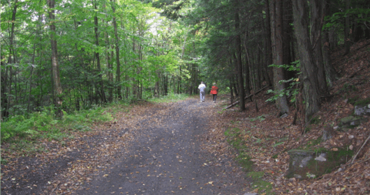 PA Endless Mountains Fiber Festival - Endless Mountains Visitors Bureau