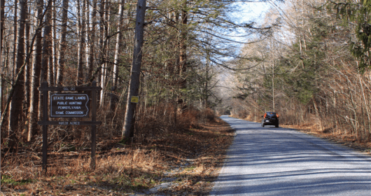 High Knob Overlook - Endless Mountains Visitors Bureau
