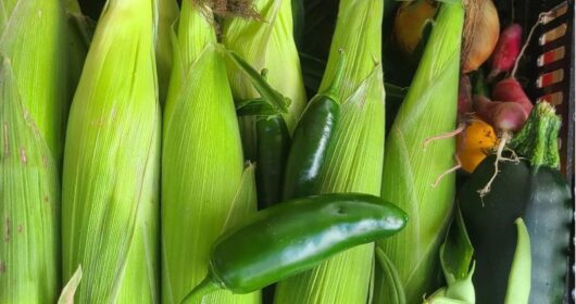 Shadowbrook Golf Course - Endless Mountains Visitors Bureau