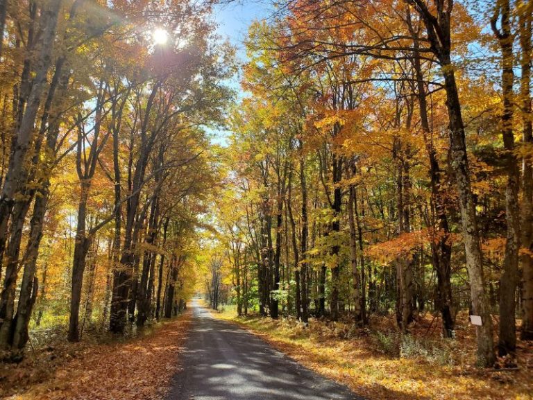 Take a Fall Foliage Road Trip in the PA Endless Mountains - Endless ...