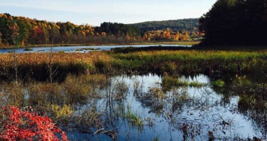 Shadowbrook Golf Course - Endless Mountains Visitors Bureau