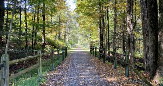 Shadowbrook Golf Course - Endless Mountains Visitors Bureau