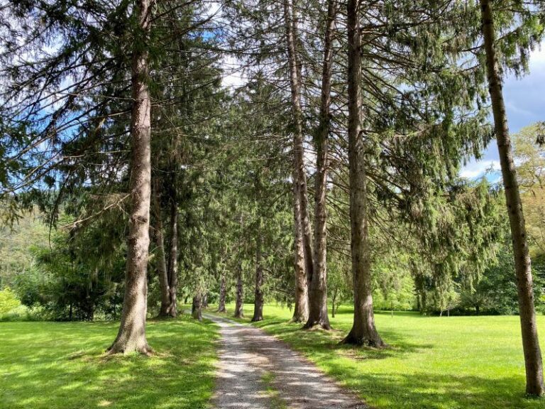 Explore the State Parks of the Endless Mountains - Endless Mountains ...