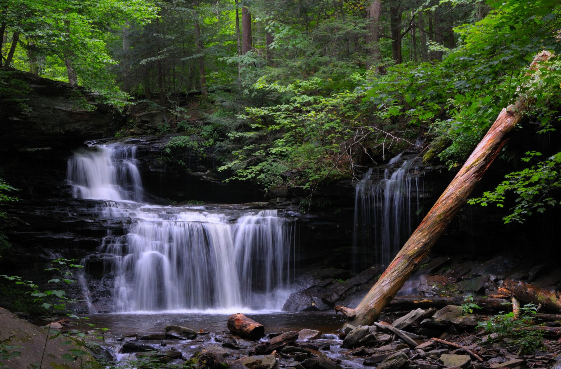 Home - Endless Mountains Visitors Bureau